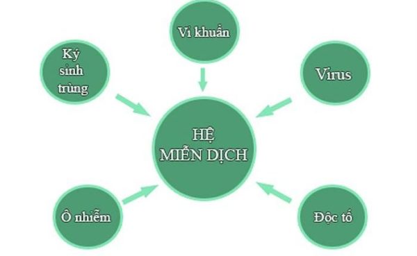 Miễn dịch cho trẻ và cách tăng miễn dịch